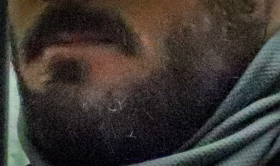 Beards Abound: Celebrating World Beard Day – The Warrior Word